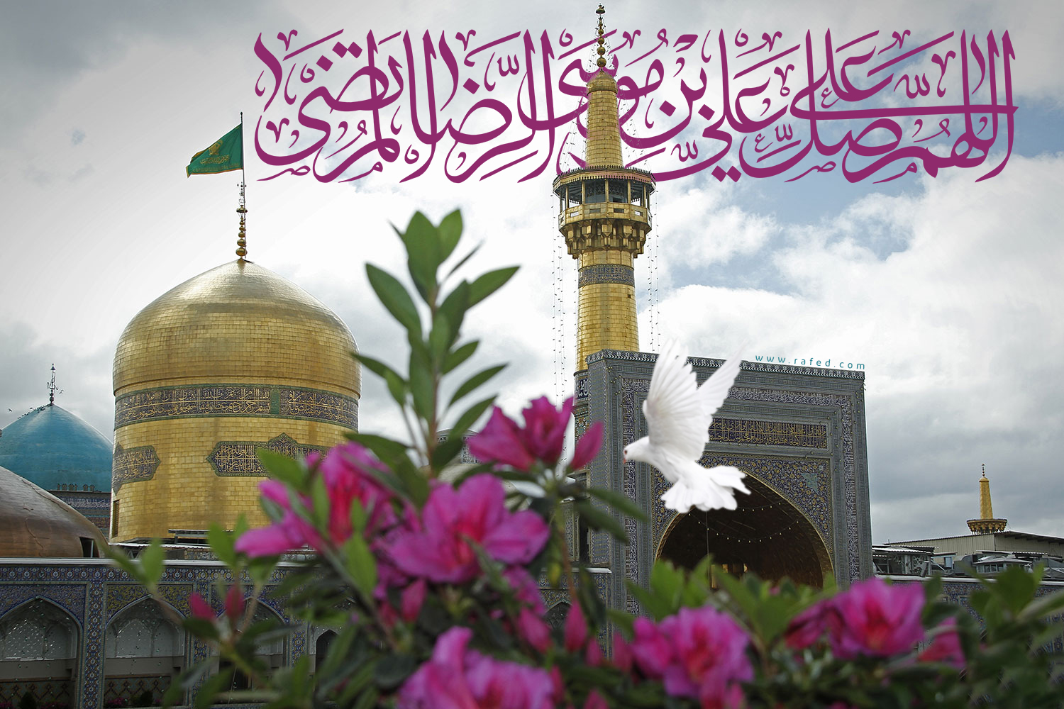 شبكة رافـد للتنمية الثقافية - ولادة الامام علي الرضا(ع)